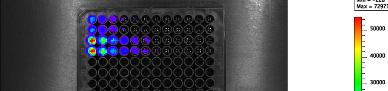 SAIF - Home - UAB Institutional Research Core Program | UAB