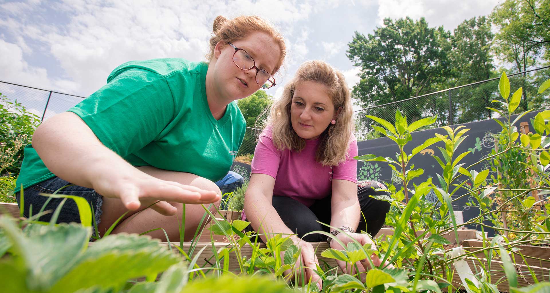 Biology / Secondary Education (Dual Degree), MS / MAEd | Find Your Degree