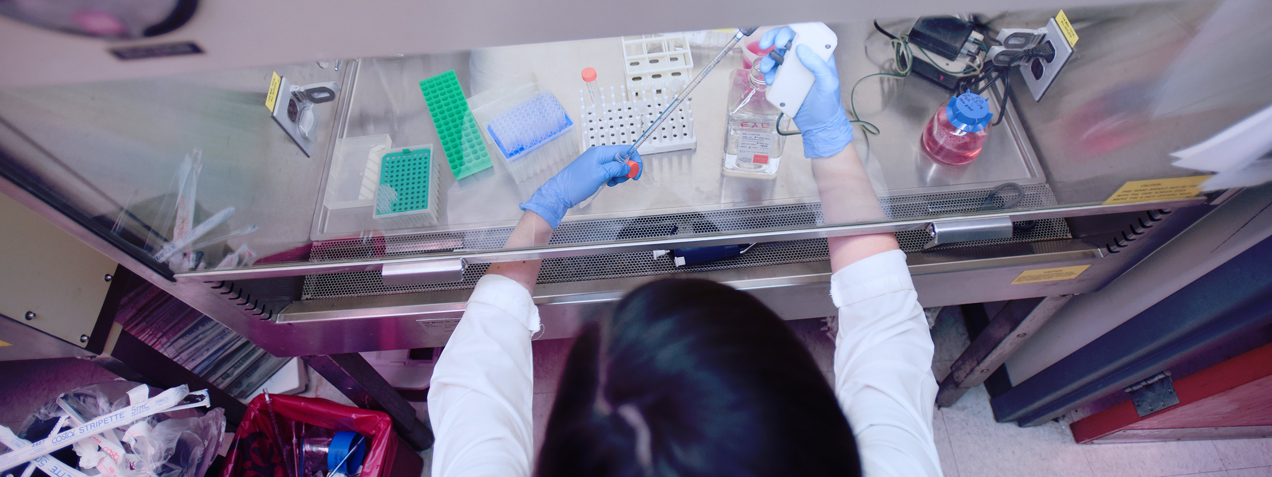 Graduate Biomedical Sciences | UAB