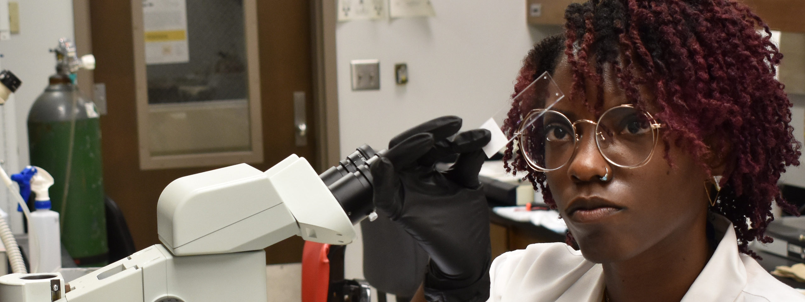 Graduate Biomedical Sciences | UAB