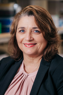 About - Graduate School