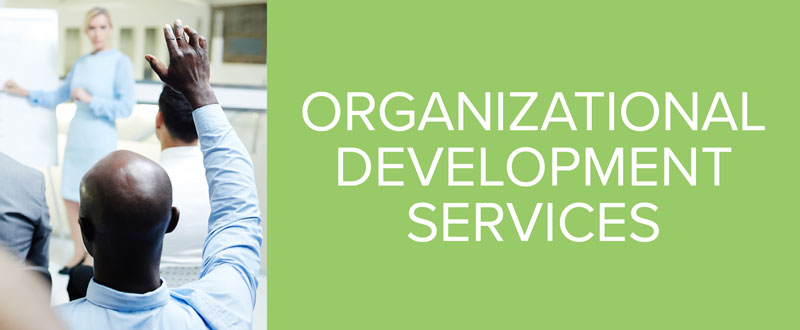 Organizational Learning & Development - Human Resources | UAB