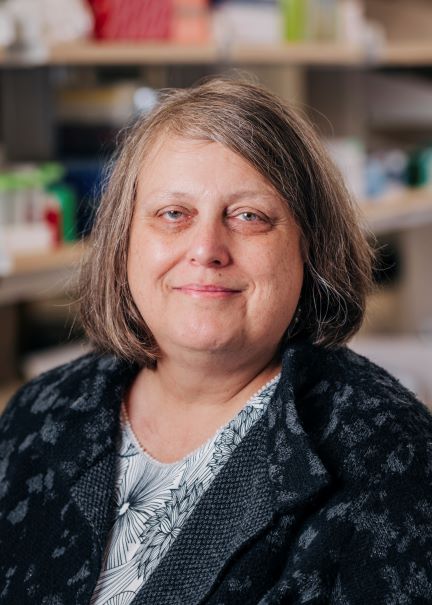 Faculty - Cell, Developmental and Integrative Biology