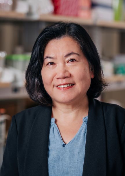 Faculty - Cell, Developmental and Integrative Biology