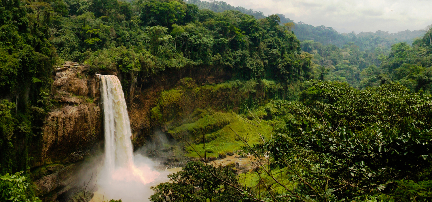 Cameroon - Mary Heersink Institute for Global Health