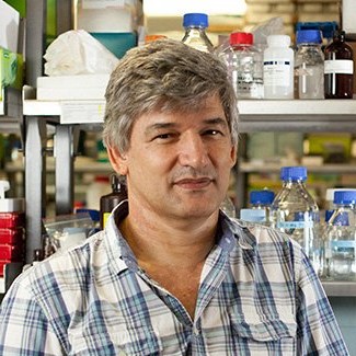 Faculty - Microbiology