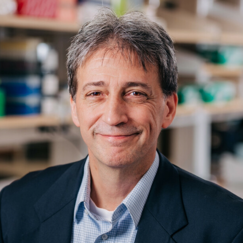 Four projects funded through annual Heersink Multi-Investigator Program ...