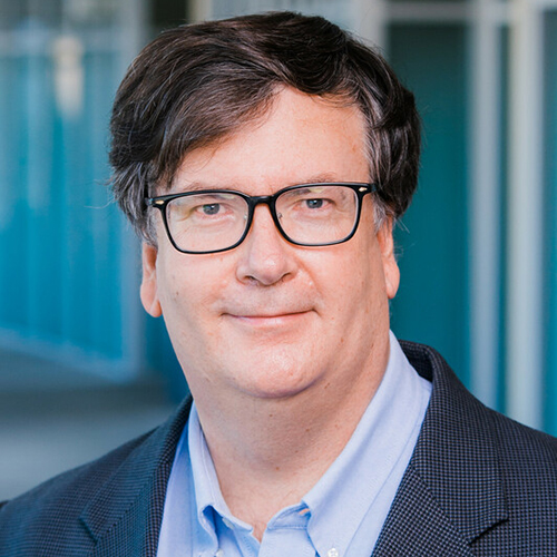 Intrinsic IL-2 production by effector CD8 T cells affects IL-2 ...