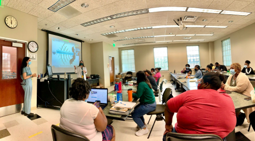 Women in Radiology Education (WIRED) - Radiology | UAB