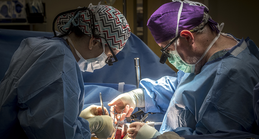 Division of Transplantation - School of Medicine - Surgery | UAB