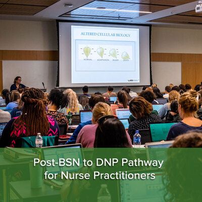 DNP Pathways - School of Nursing | UAB