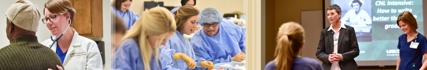 Master of Science in Nursing (MSN) Program - School of Nursing