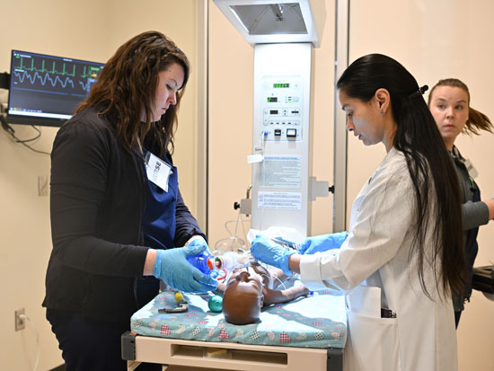 Elevating excellence to new heights | School of Nursing News