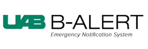 1996 Internal Affairs Report - Police and Public Safety