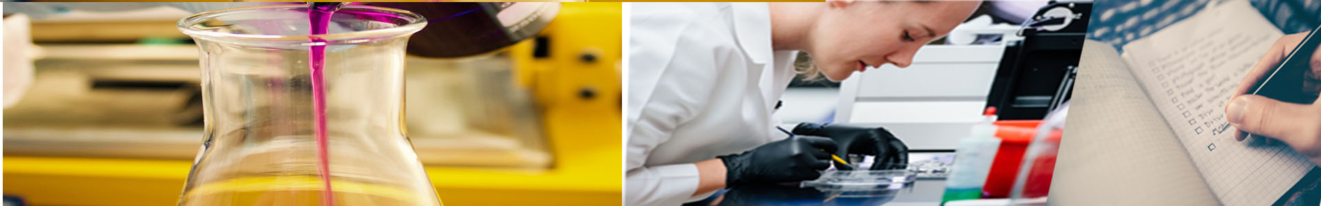 Home - The Office of the Vice President for Research | UAB