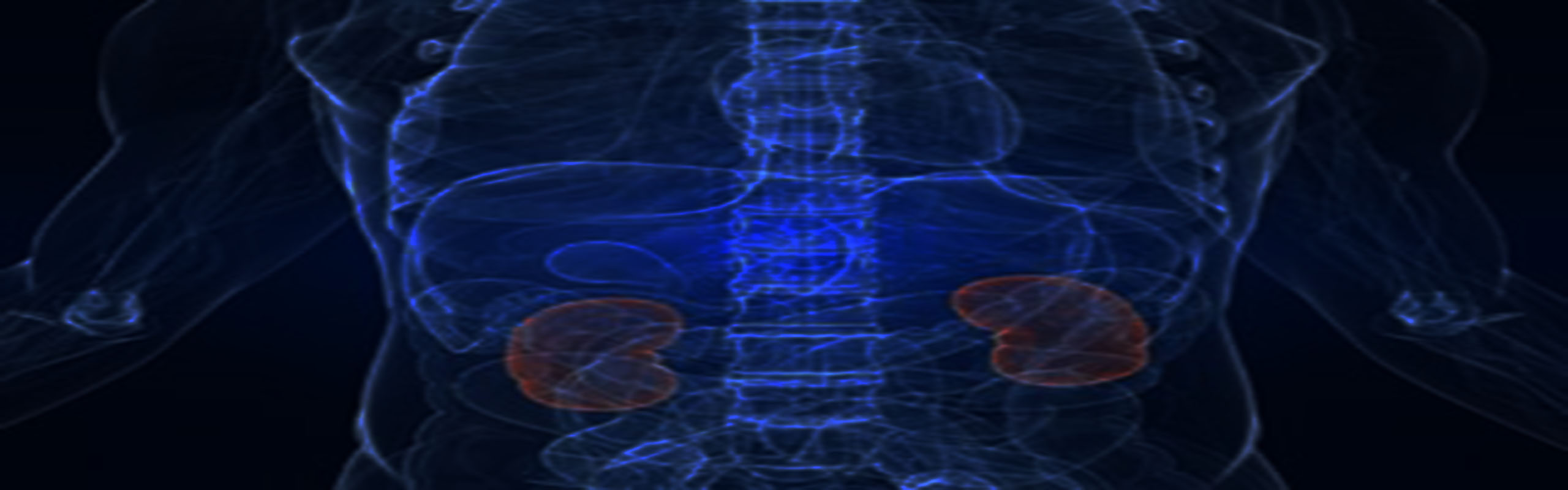 Home - The Office of the Vice President for Research | UAB