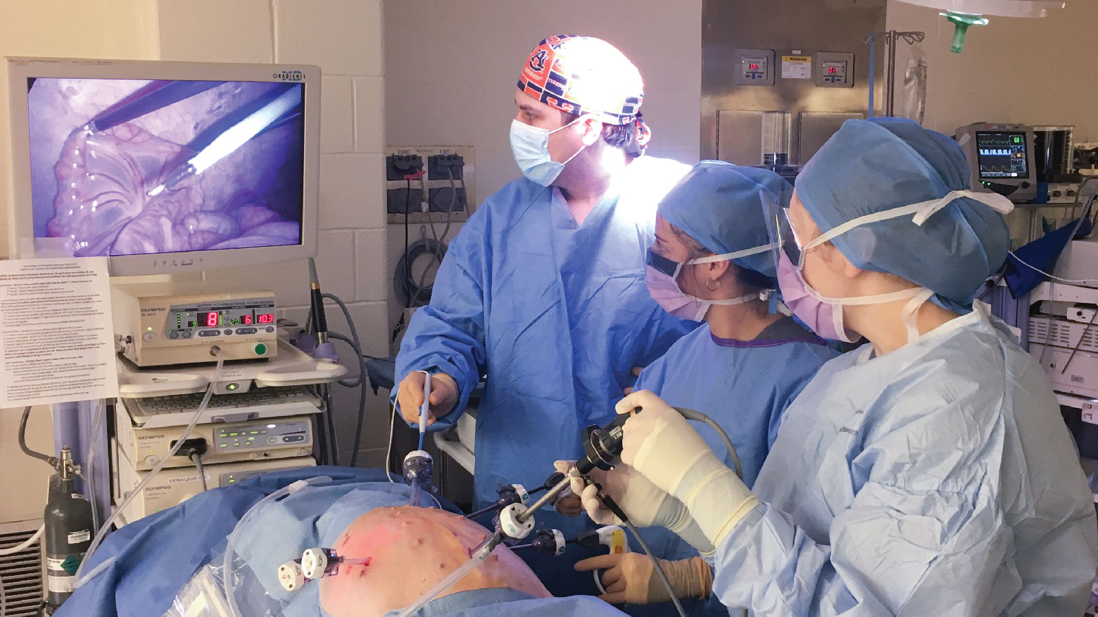 ASPAW - SHP - Department of Clinical And Diagnostic Sciences