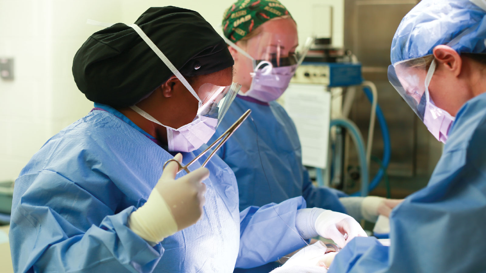 ASPAW - SHP - Department of Clinical And Diagnostic Sciences