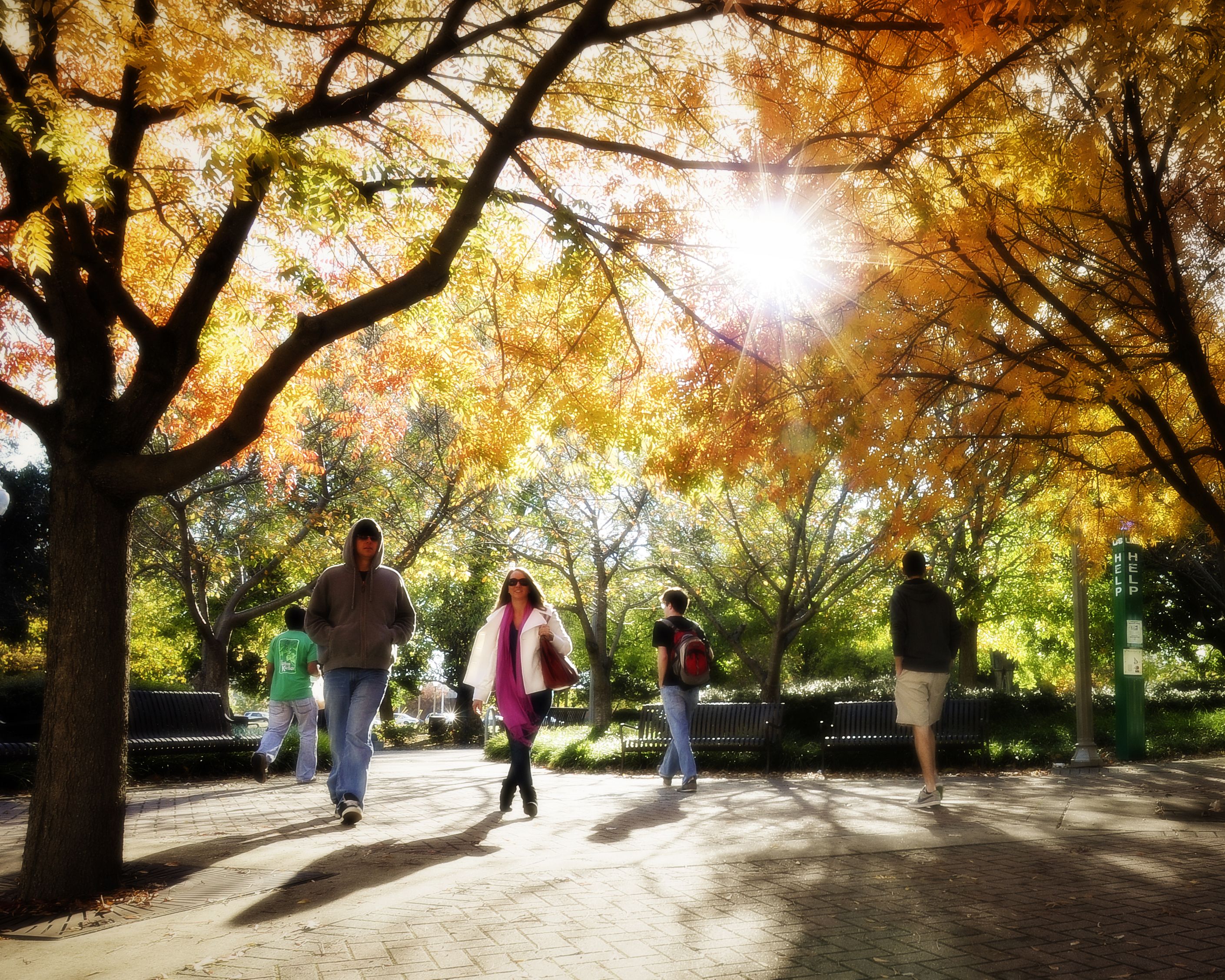 Students - Dining | UAB