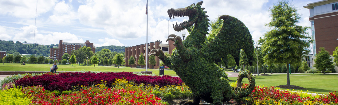 About - Students - University Recreation